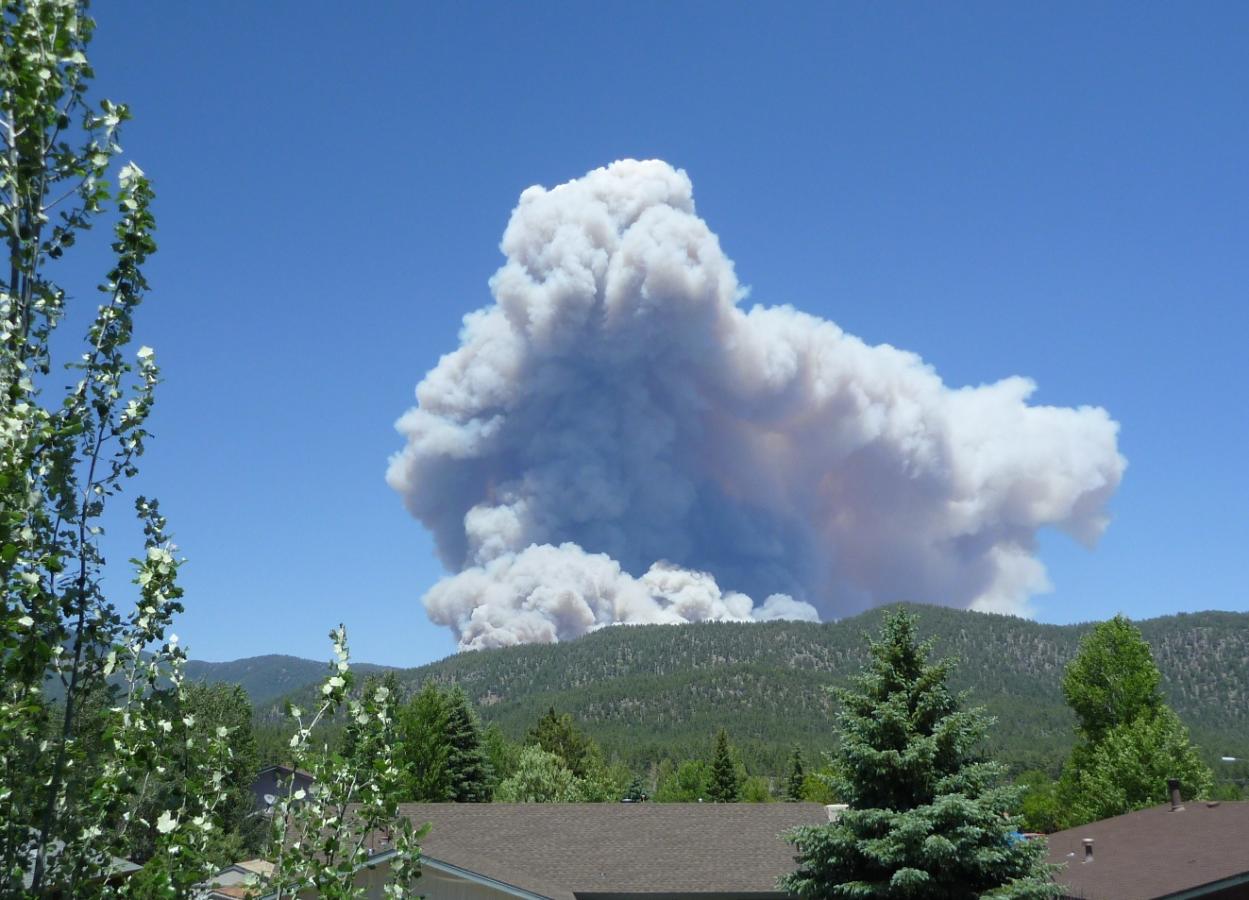 U.S. reforestation faces industry-wide issues. Some groups are stepping ...