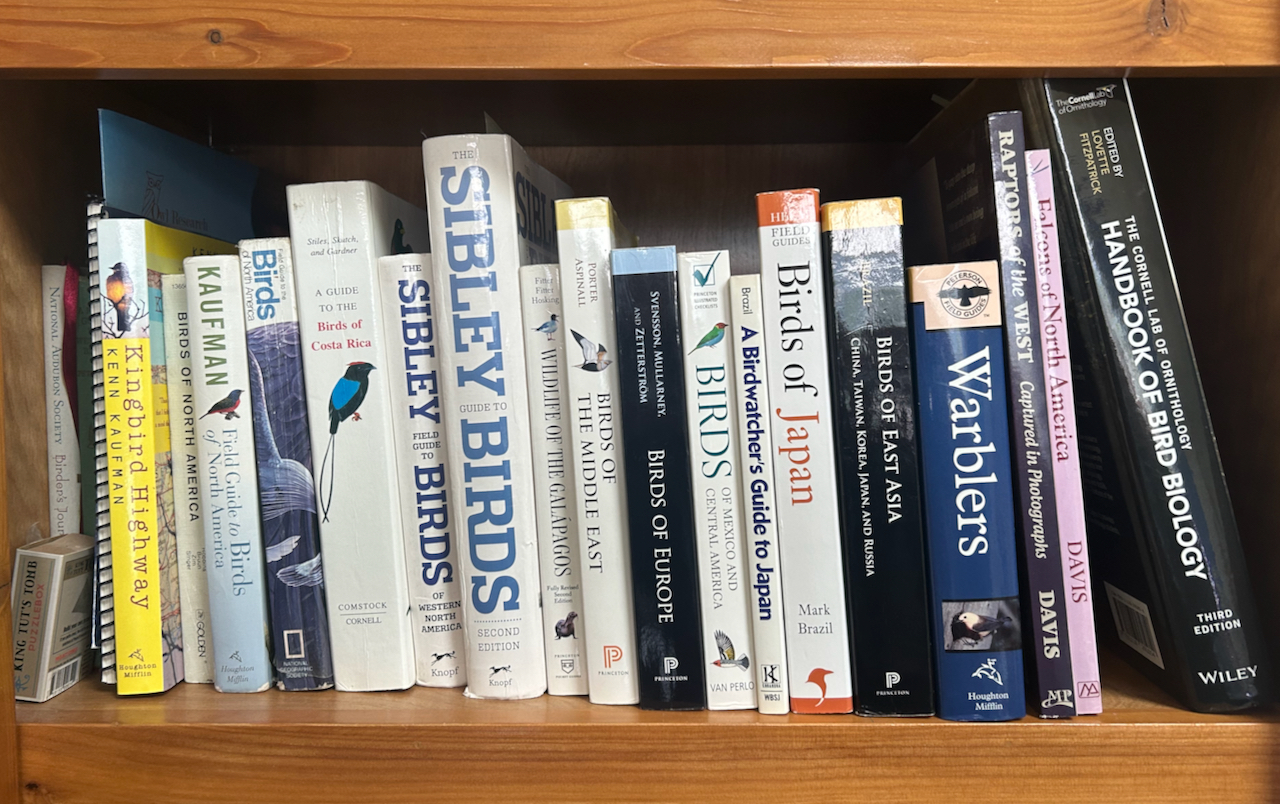 Sneed B. Collard III—Birding for Boomers: And Everyone Else Brave ...