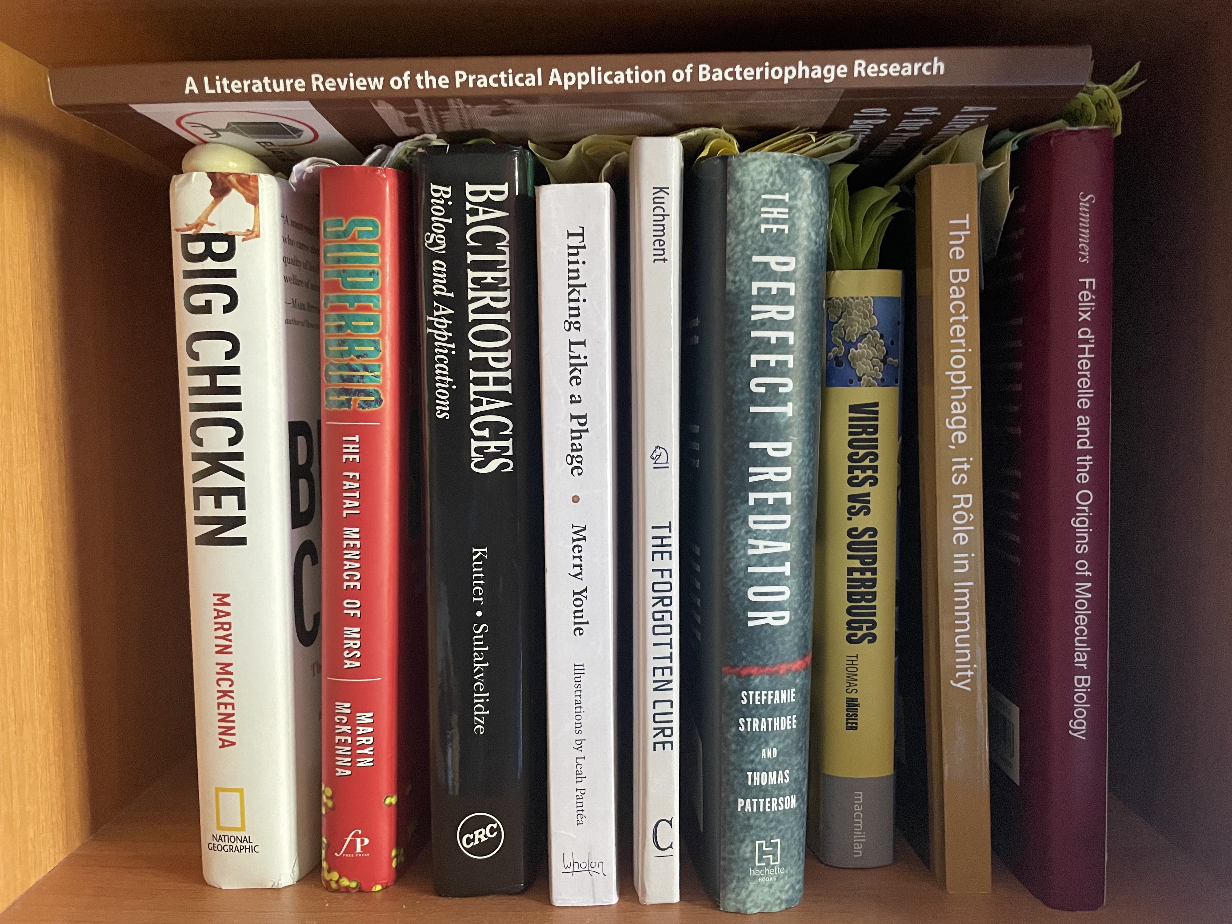 Lina Zeldovich—The Living Medicine: How a Lifesaving Cure Was Nearly ...