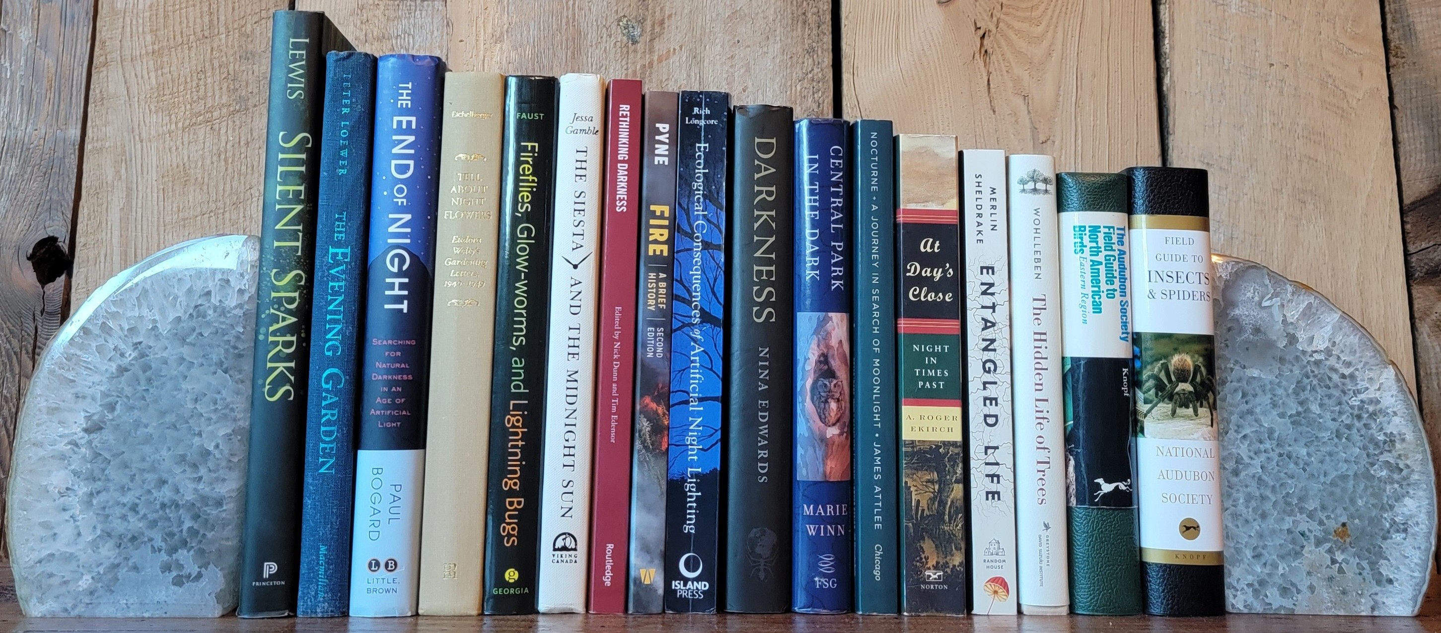 Leigh Ann Henion—Night Magic: Adventures Among Glowworms, Moon Gardens ...