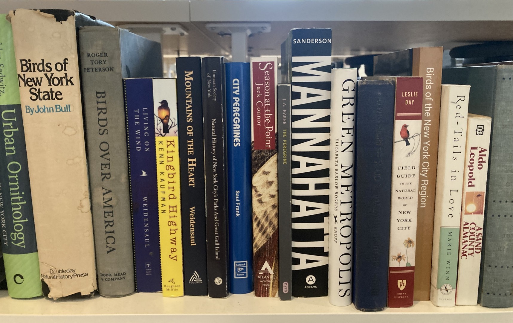 Ryan Goldberg—Bird City: Adventures in New York's Urban Wilds ...