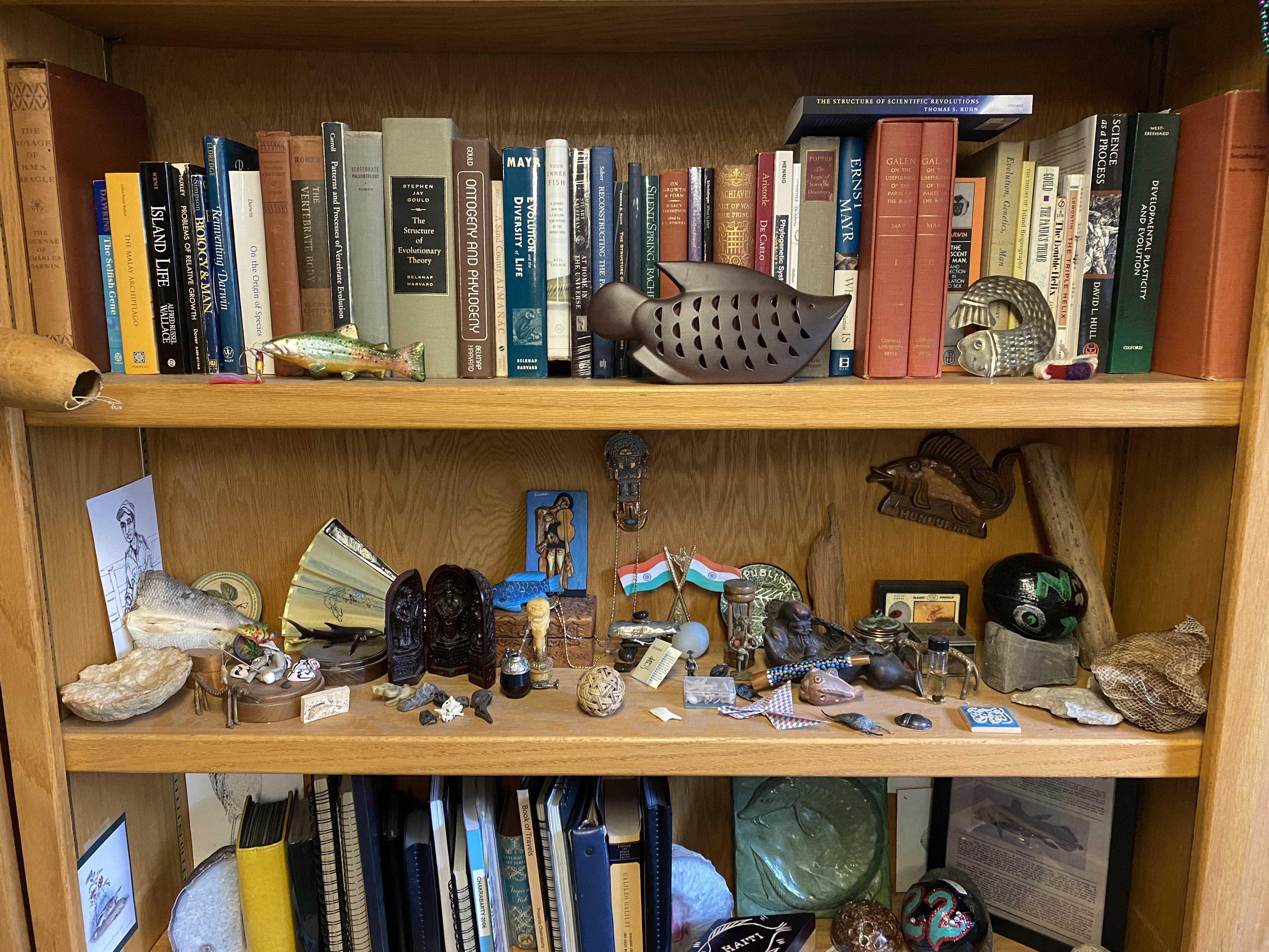 Prosanta Chakrabarty—Explaining Life through Evolution | ScienceWriters ...