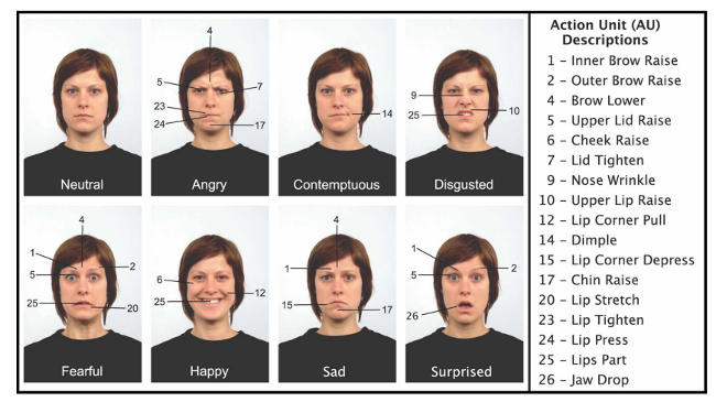 Masks usher revelations on how we perceive faces during communication ...