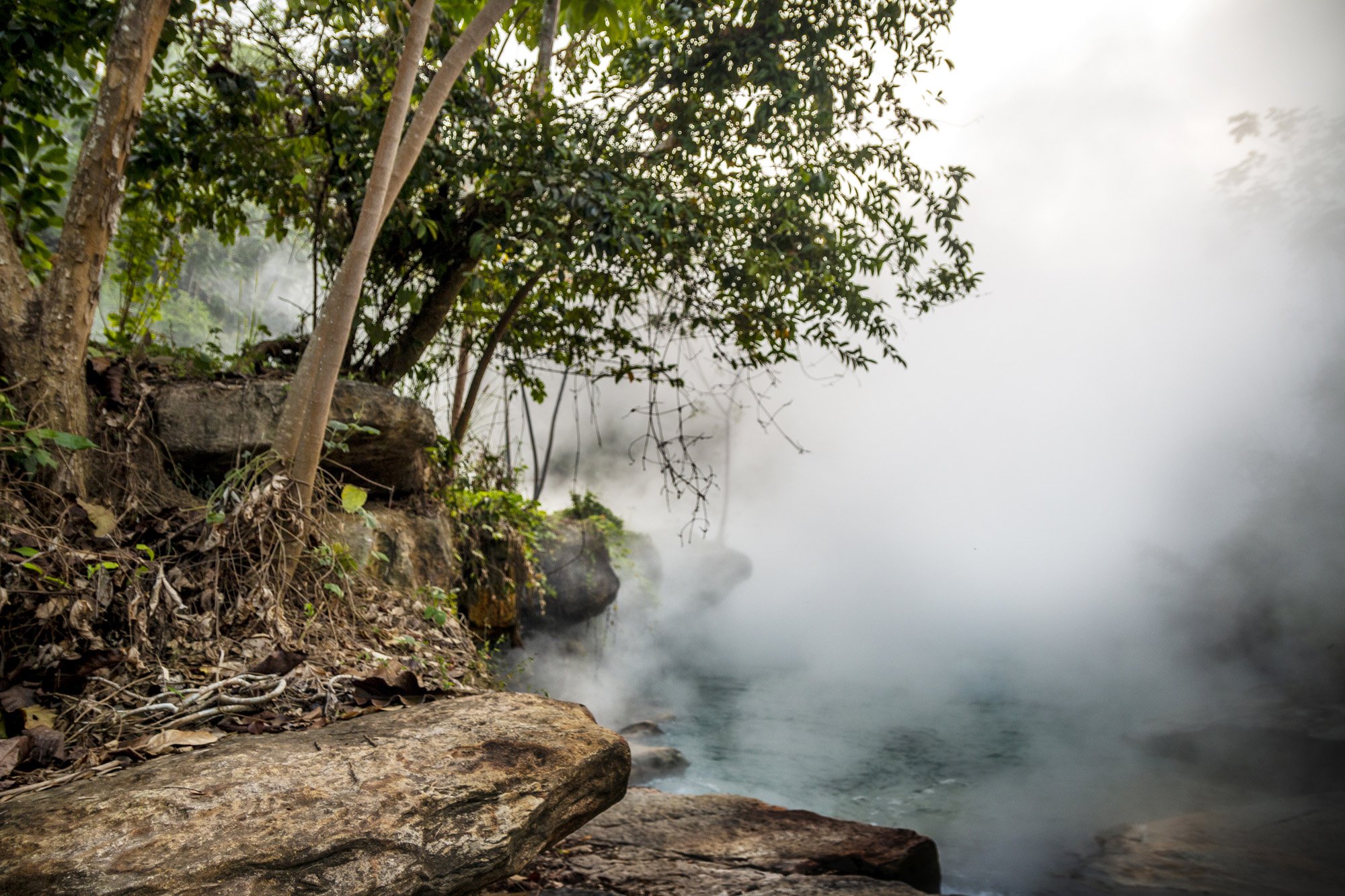 Questing for cures from a boiling river | ScienceWriters (www.NASW.org)