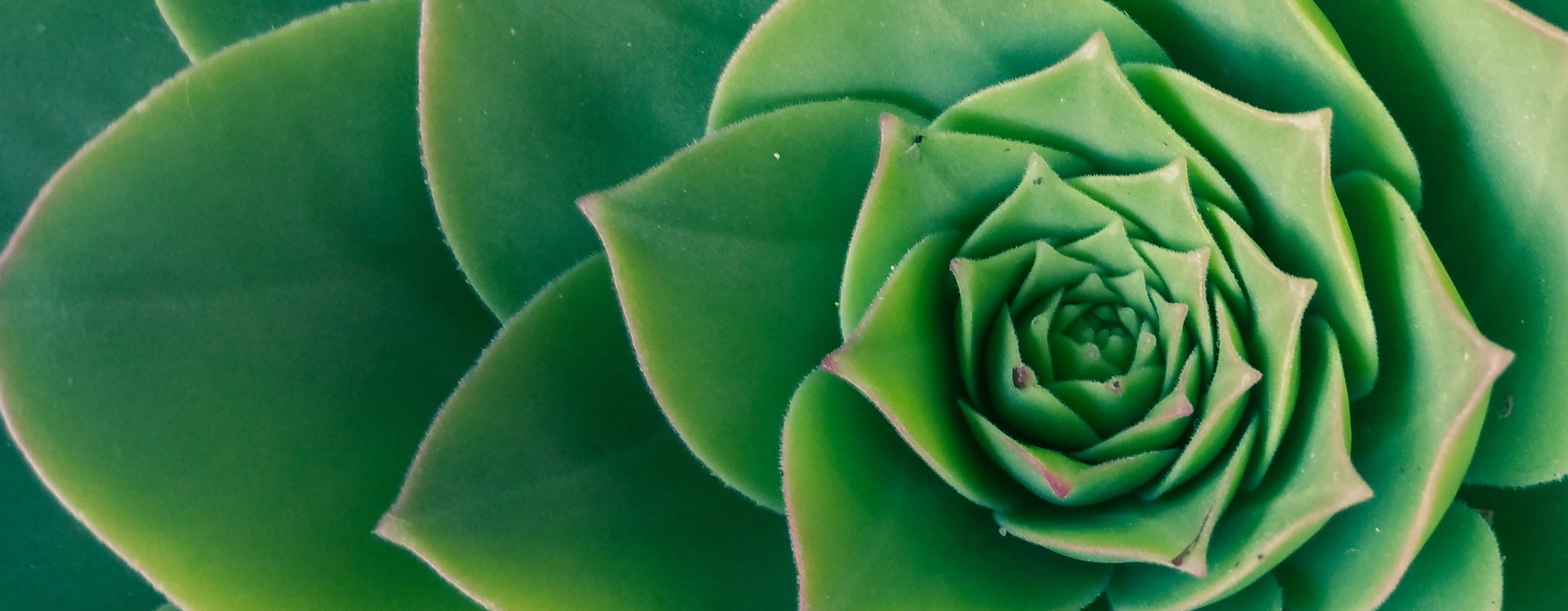 Five cardinal money rules of freelancing | ScienceWriters (www.NASW.org)