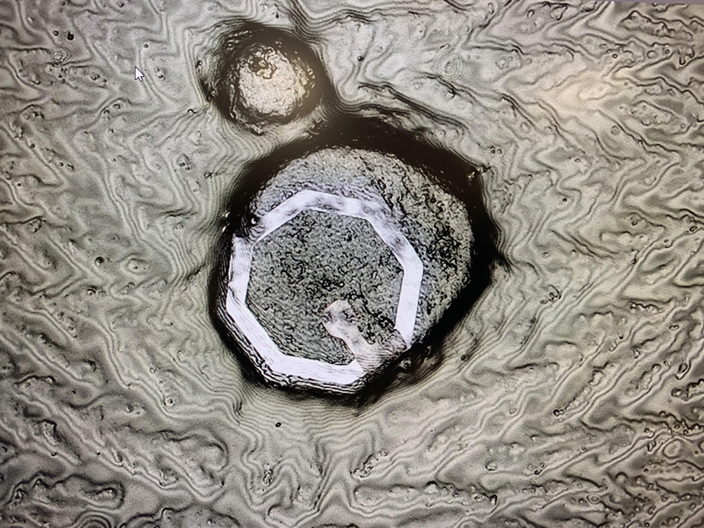 Chipping away at cell mysteries | ScienceWriters (www.NASW.org)