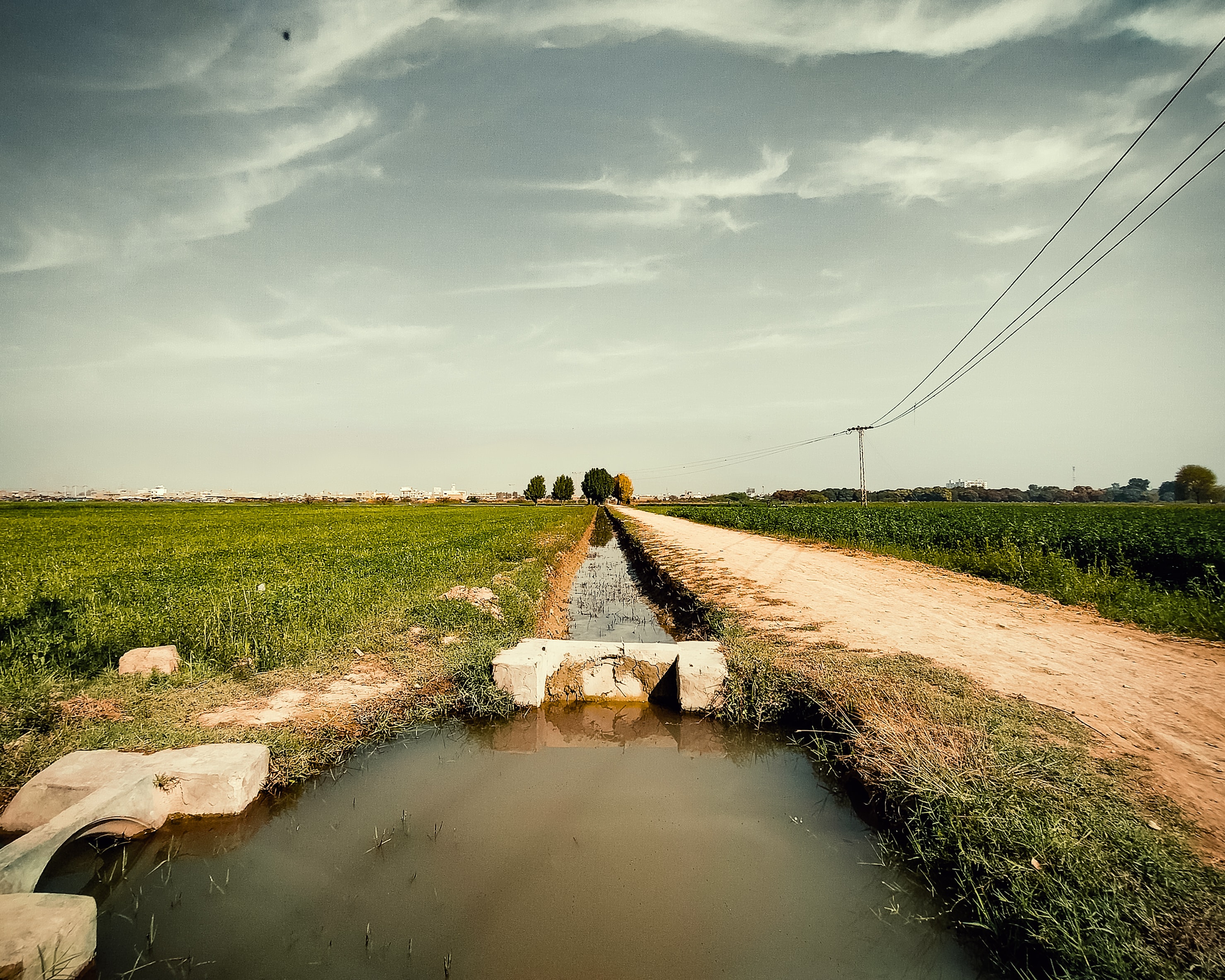 Roadside ditches keep water clean | ScienceWriters (www.NASW.org)