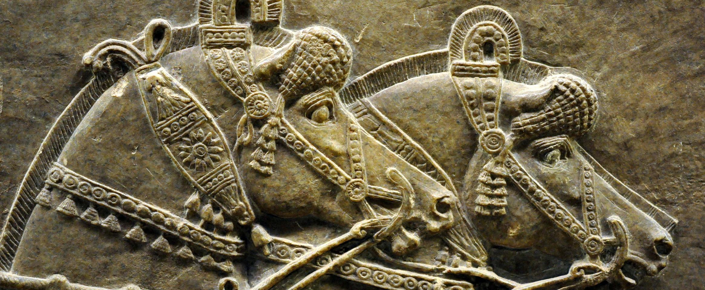 Jaime Chambers | ScienceWriters (www.NASW.org)