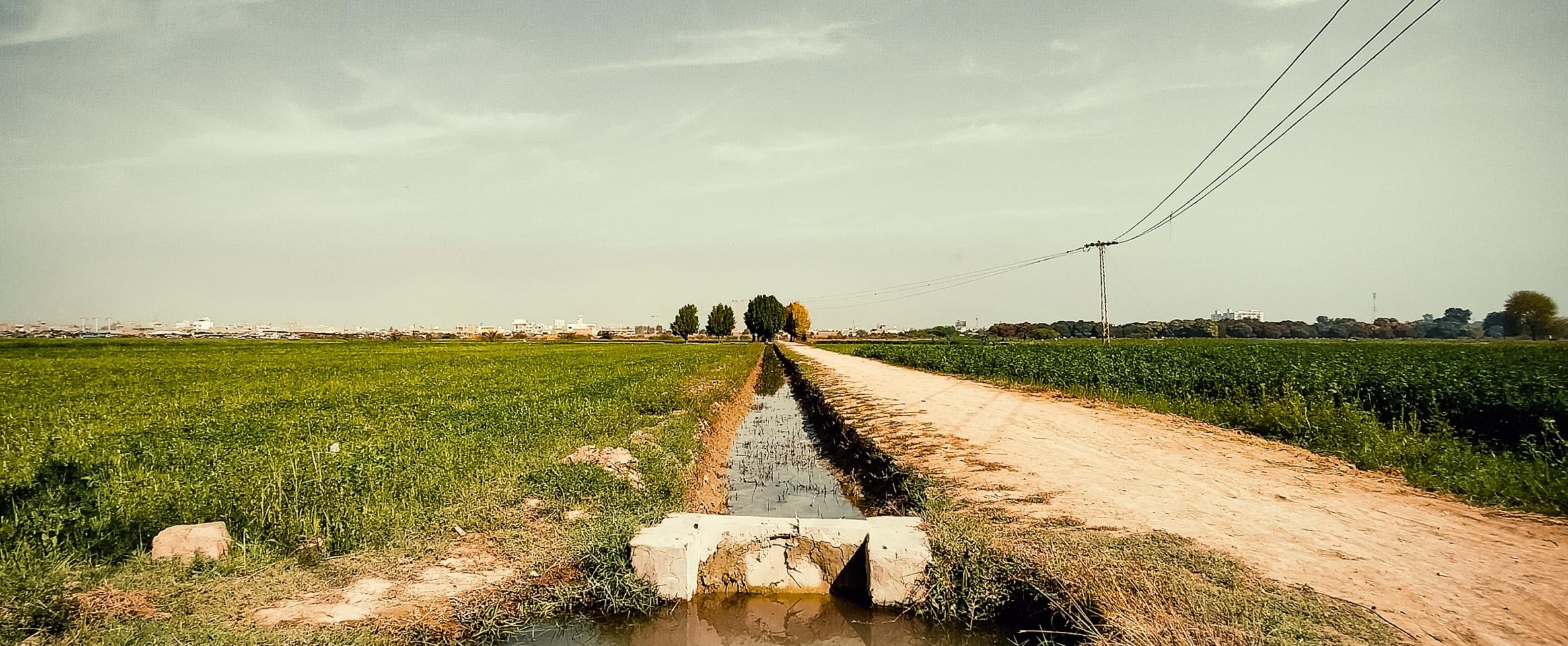 Roadside ditches keep water clean | ScienceWriters (www.NASW.org)